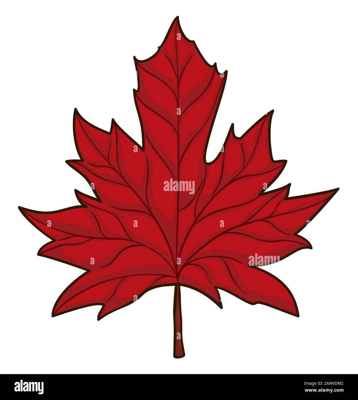 Detailed red maple leaf in cartoon style isolated on white background ...