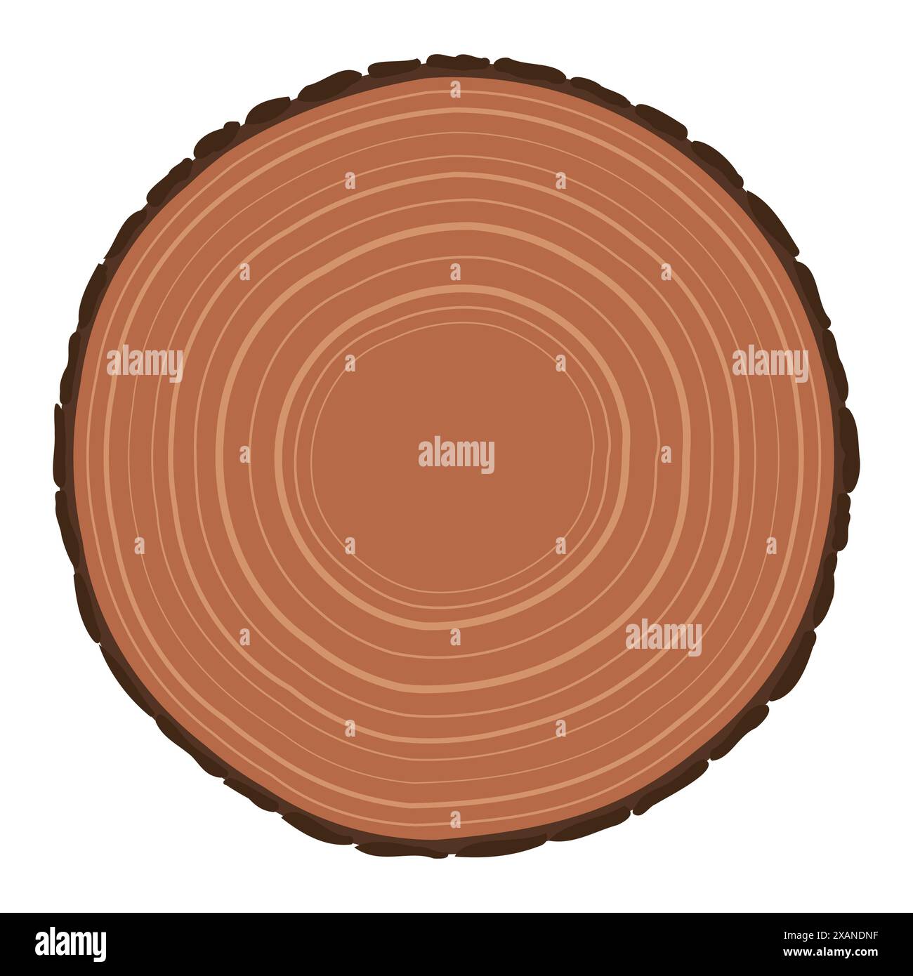Slice of a tree with its rays and bark. Flat design on white background ...