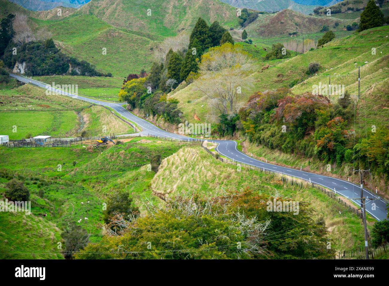 New Zealand State Highway 43 (Forgotten World Highway Stock Photo - Alamy