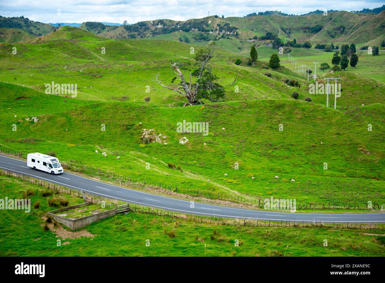 New Zealand State Highway 43 (Forgotten World Highway Stock Photo - Alamy