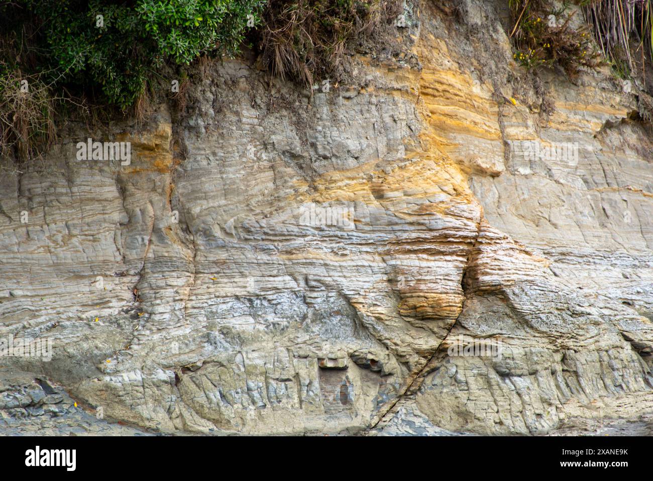 Mudstone hi-res stock photography and images - Alamy