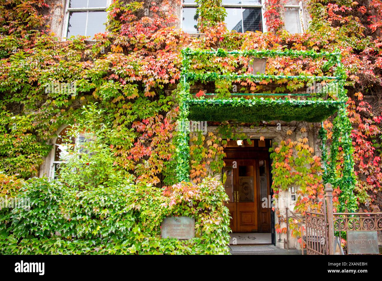 The Northern Club - Auckland - New Zealand Stock Photo - Alamy