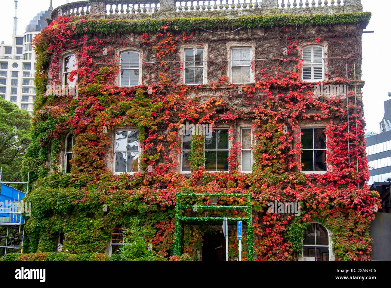 The Northern Club - Auckland - New Zealand Stock Photo - Alamy