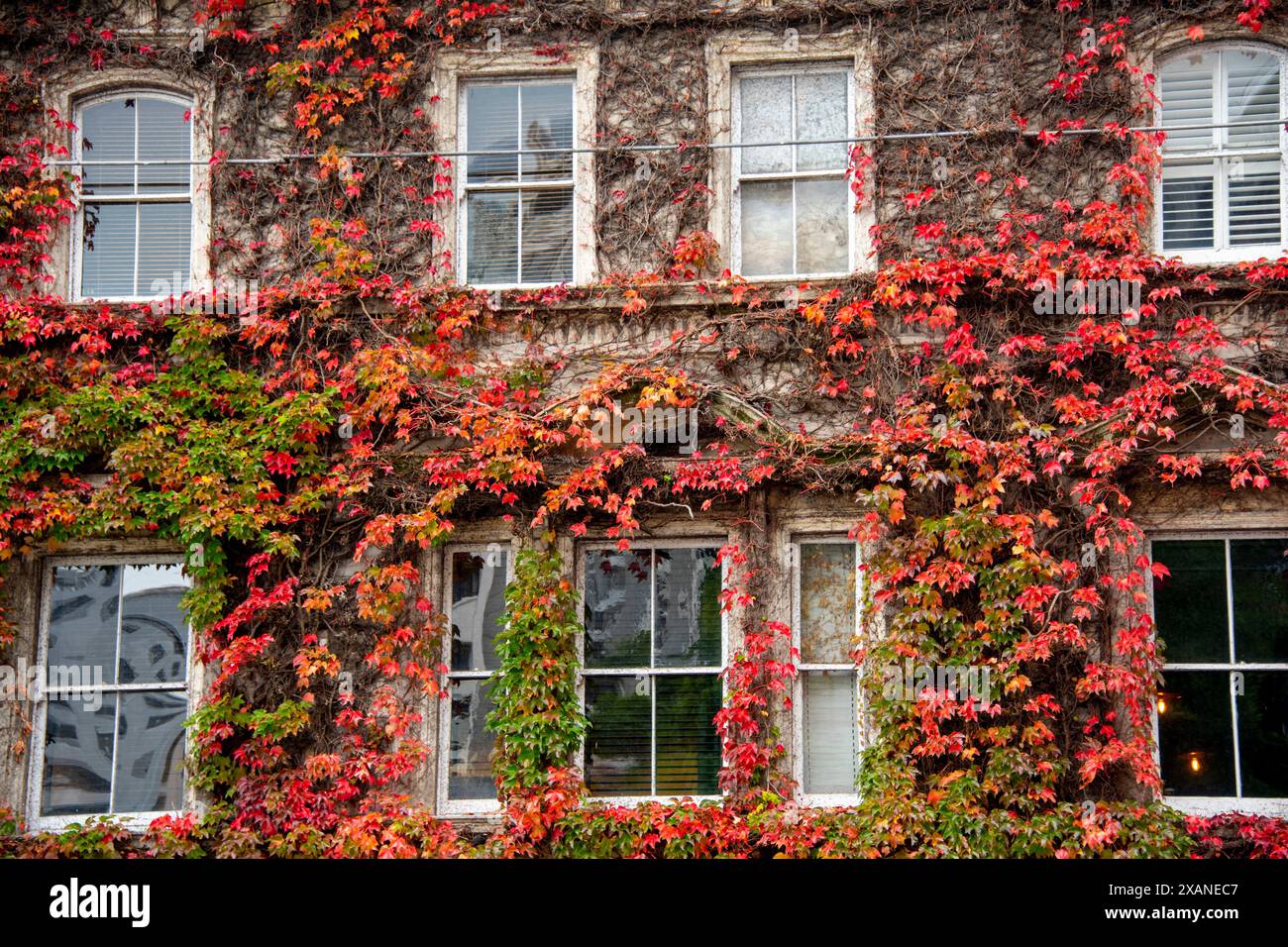The Northern Club - Auckland - New Zealand Stock Photo - Alamy
