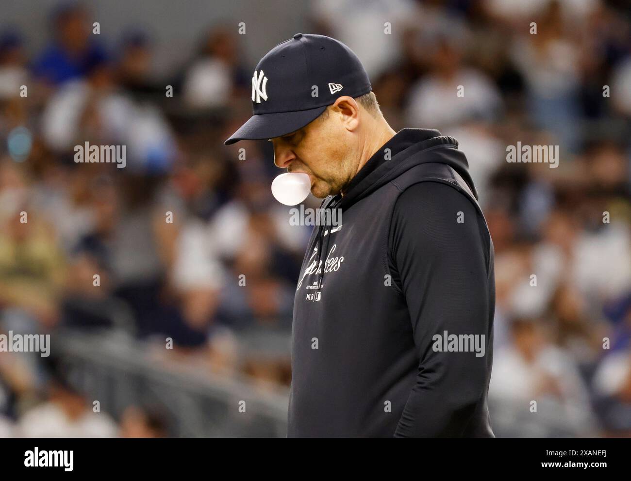 Bronx, United States. 07th June, 2024. New York Yankees manager Aaron ...