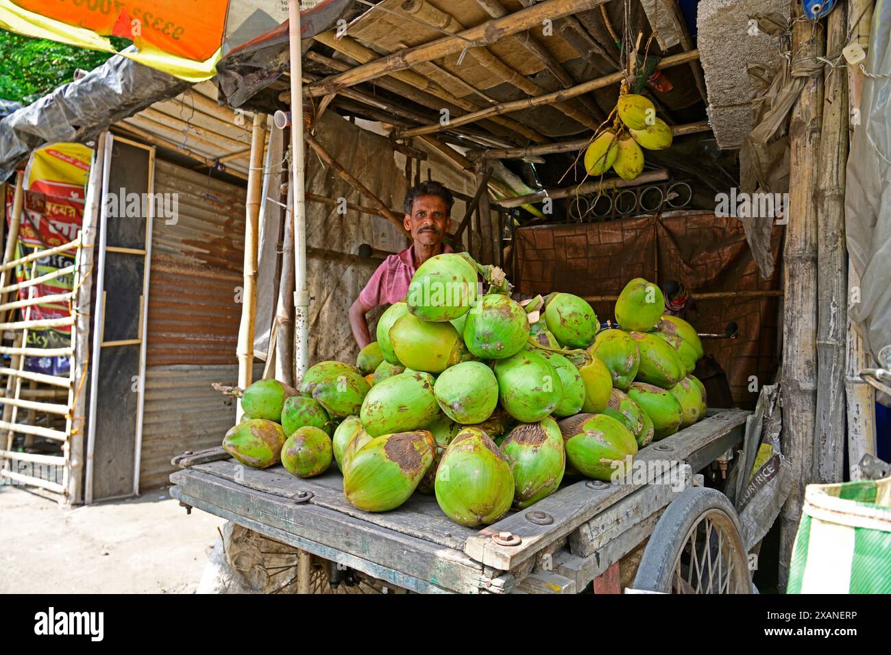 Young Coconut aka daab on display Stock Photo - Alamy