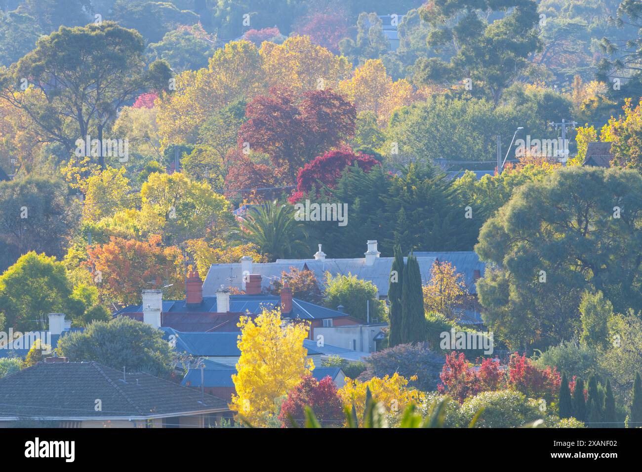 Vibrant colours in an autumn landscape showing picturesque Australian ...