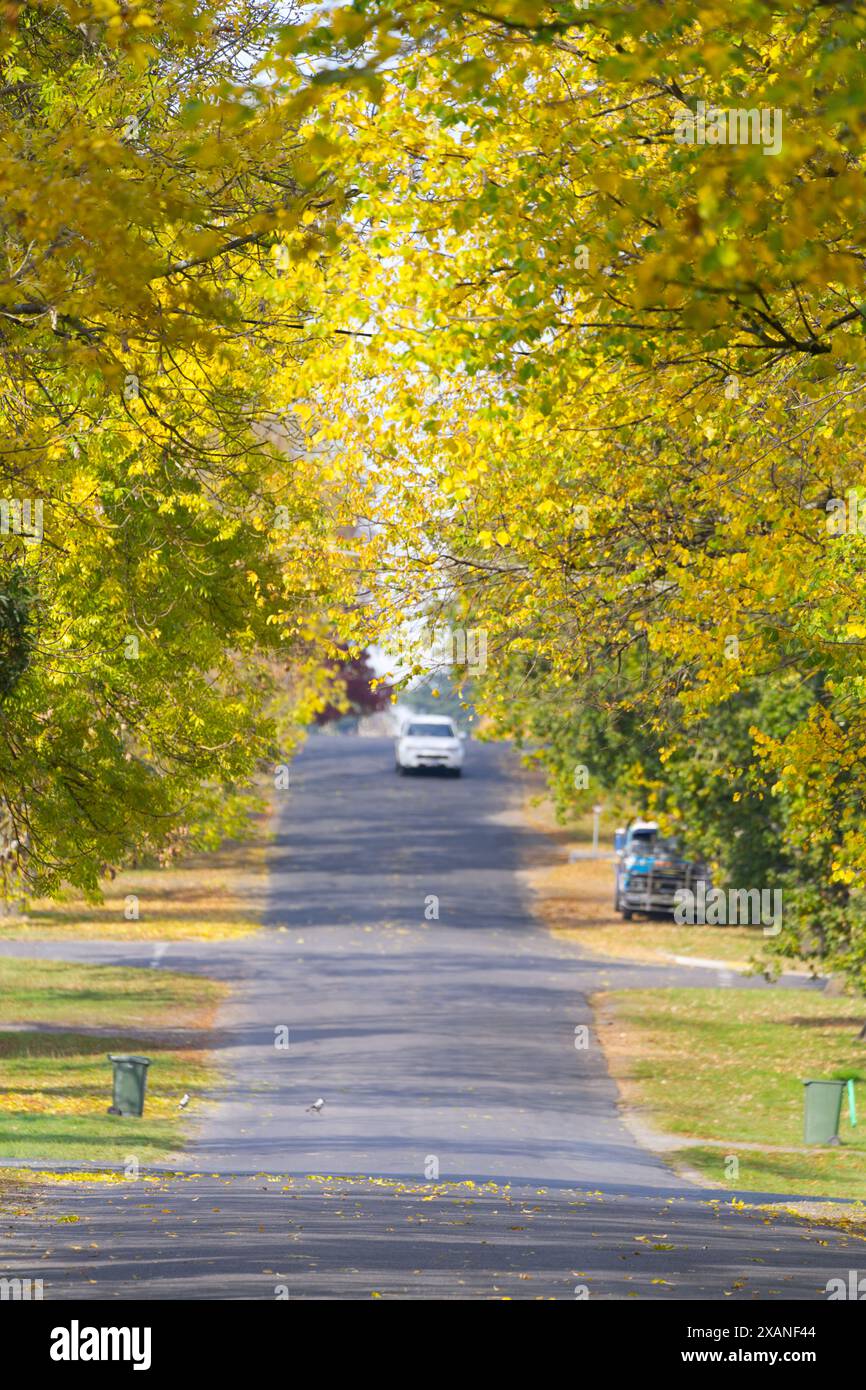 Country road going into the distance showing vehicles, green grass ...