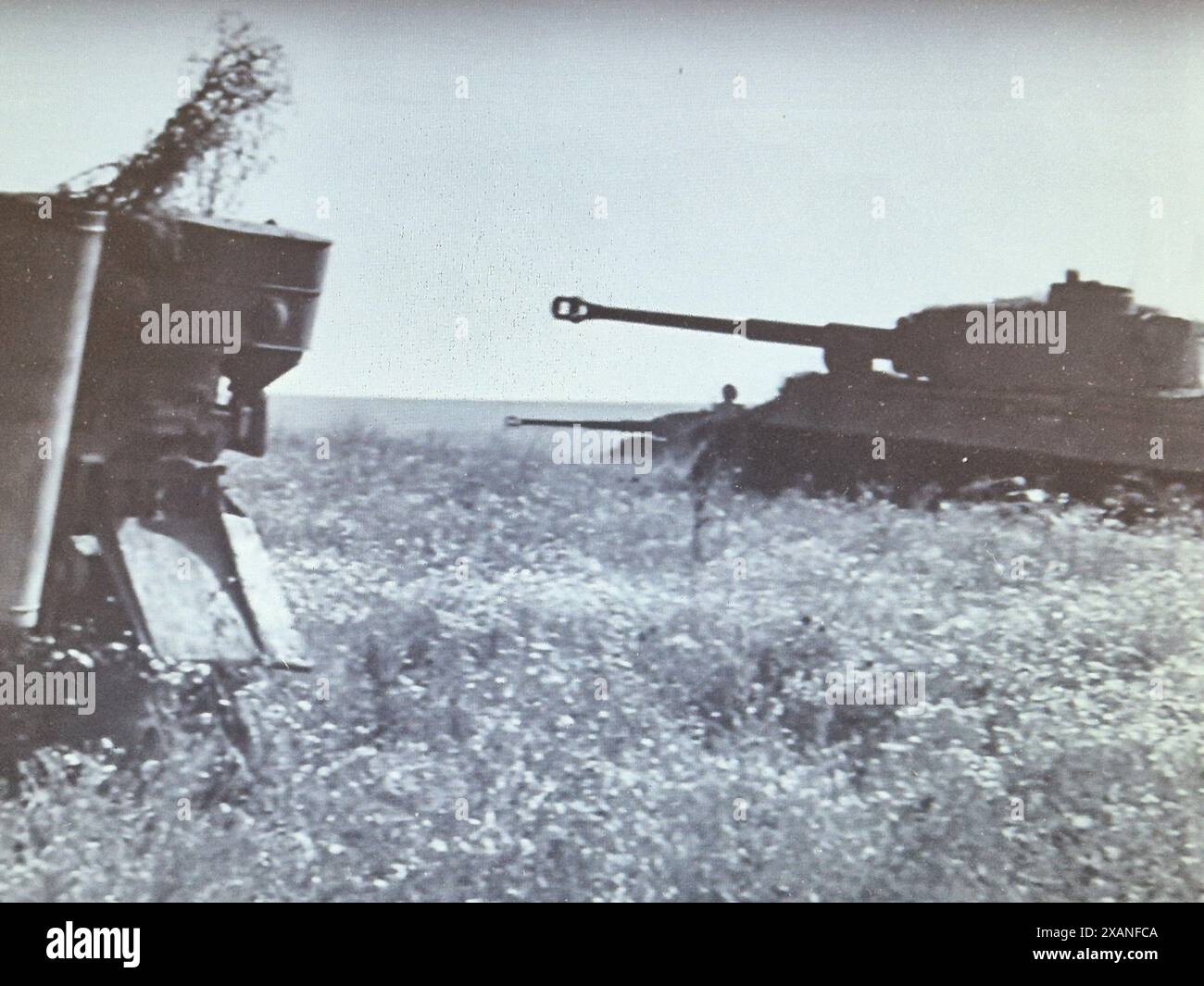 World War Two B&W Screenshot photo . Orel 1943 German Tiger Tanks ...