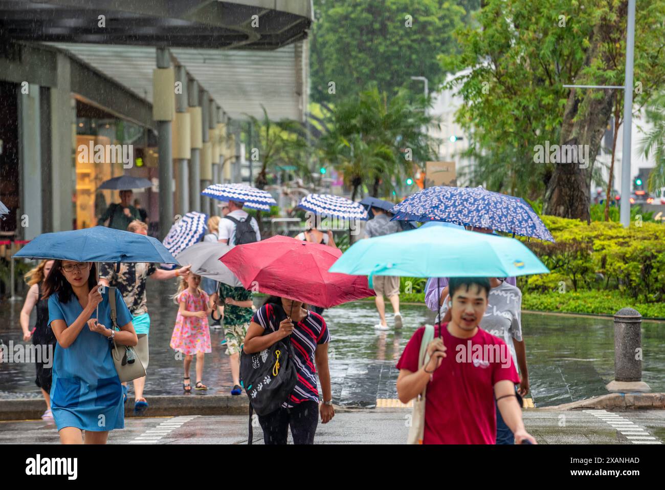 Shoppers and tourists crossing Stamford Road in Singapore city in the ...