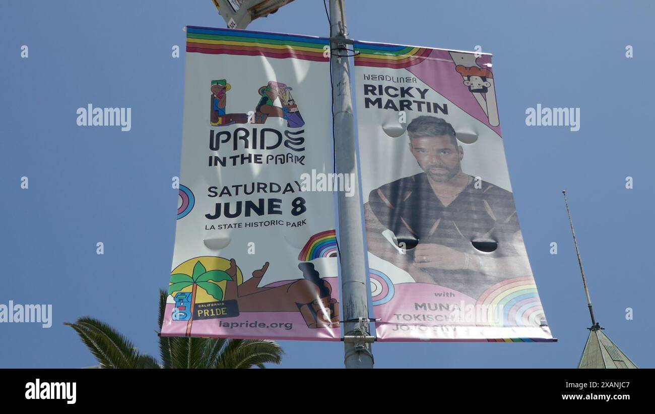 Los Angeles, California, USA 6th June 2024 Ricky Martin LA Pride in the ...