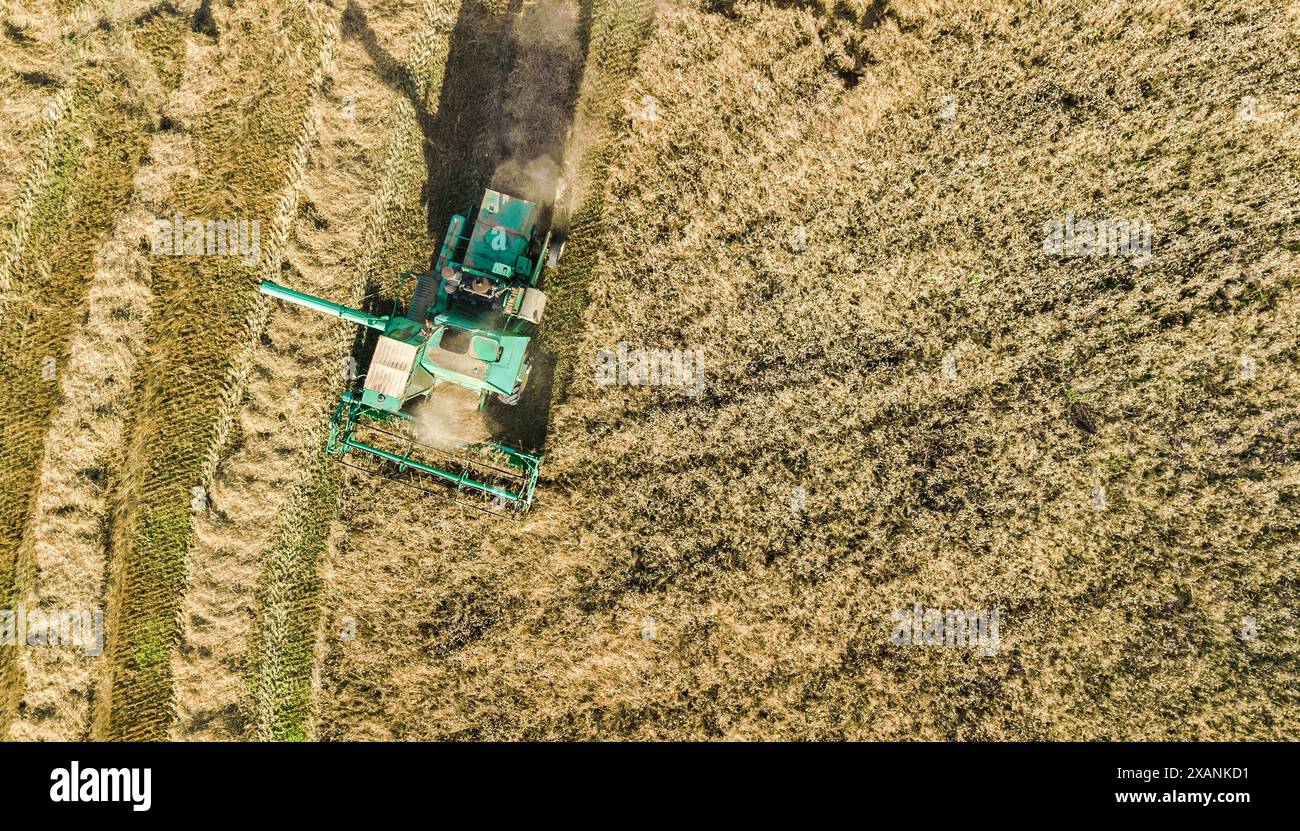 Harvester machine working in field aerial view from above, combine ...