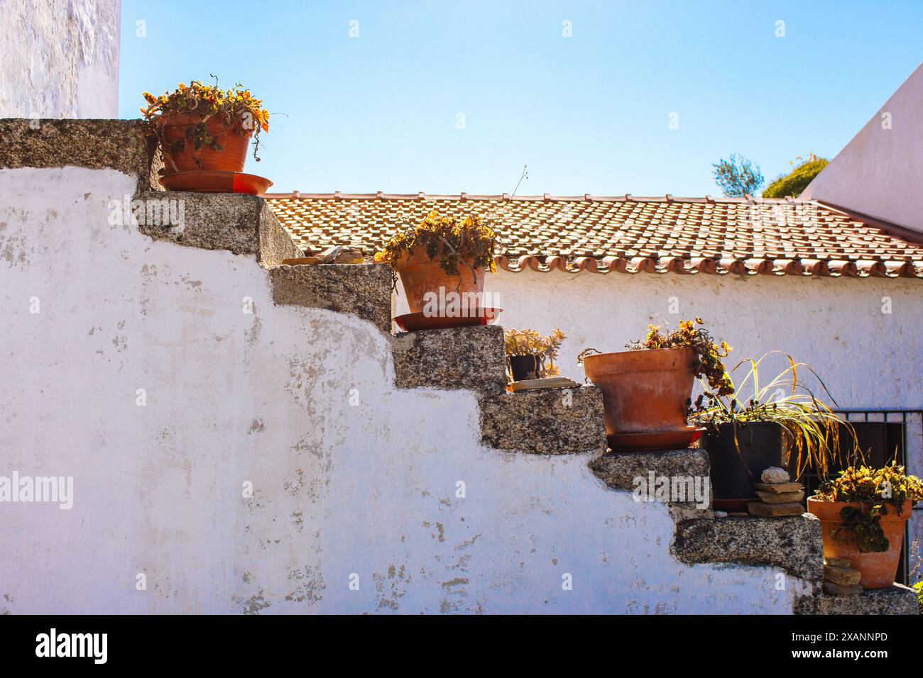 Flower pots on outdoor stairs on roof background. Traditional village ...