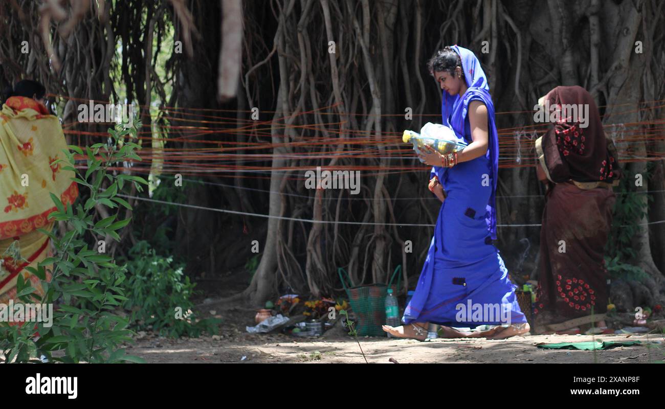 Married Indian women perform rituals on a sacred Banyan tree on the ...