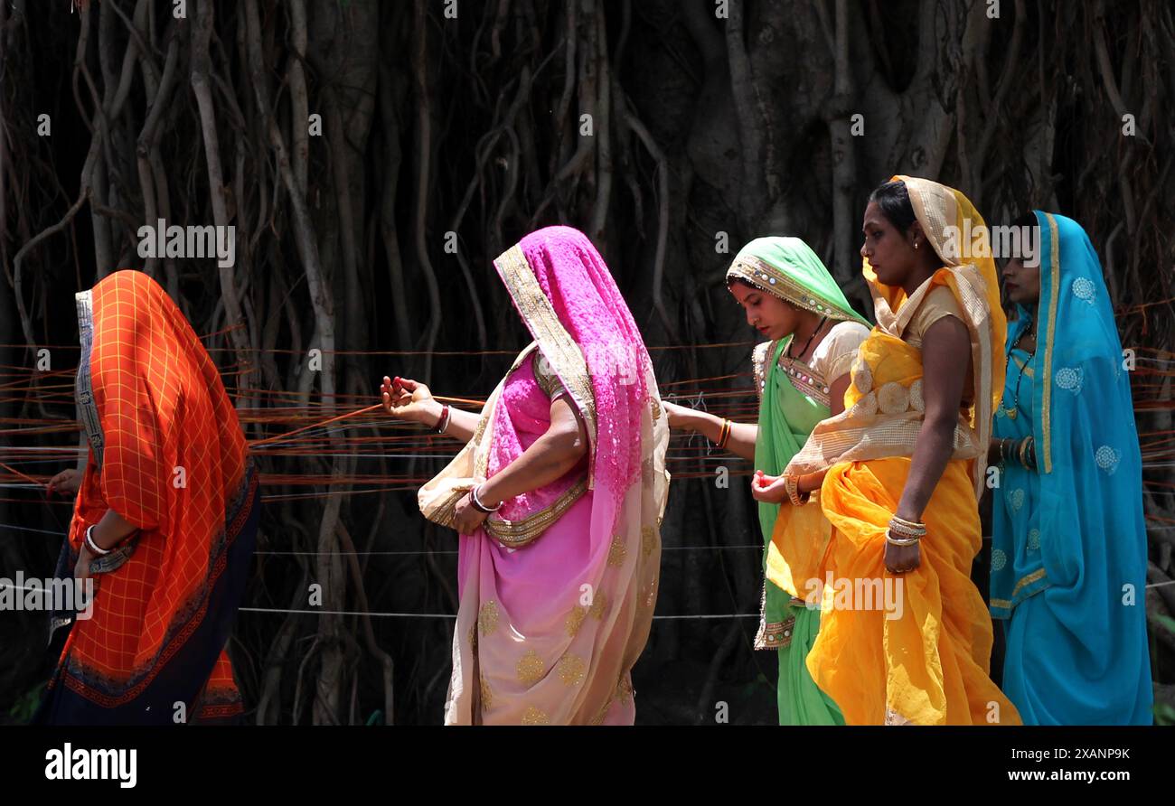 Married Indian women perform rituals on a sacred Banyan tree on the ...