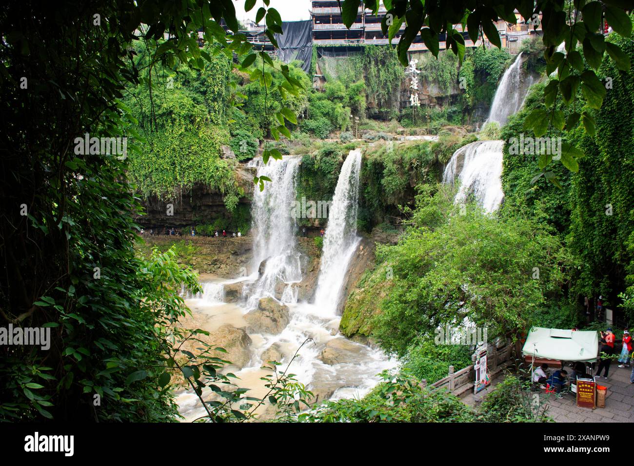 View landscape mountain forest jungle and waterfalls in antique Furong ...