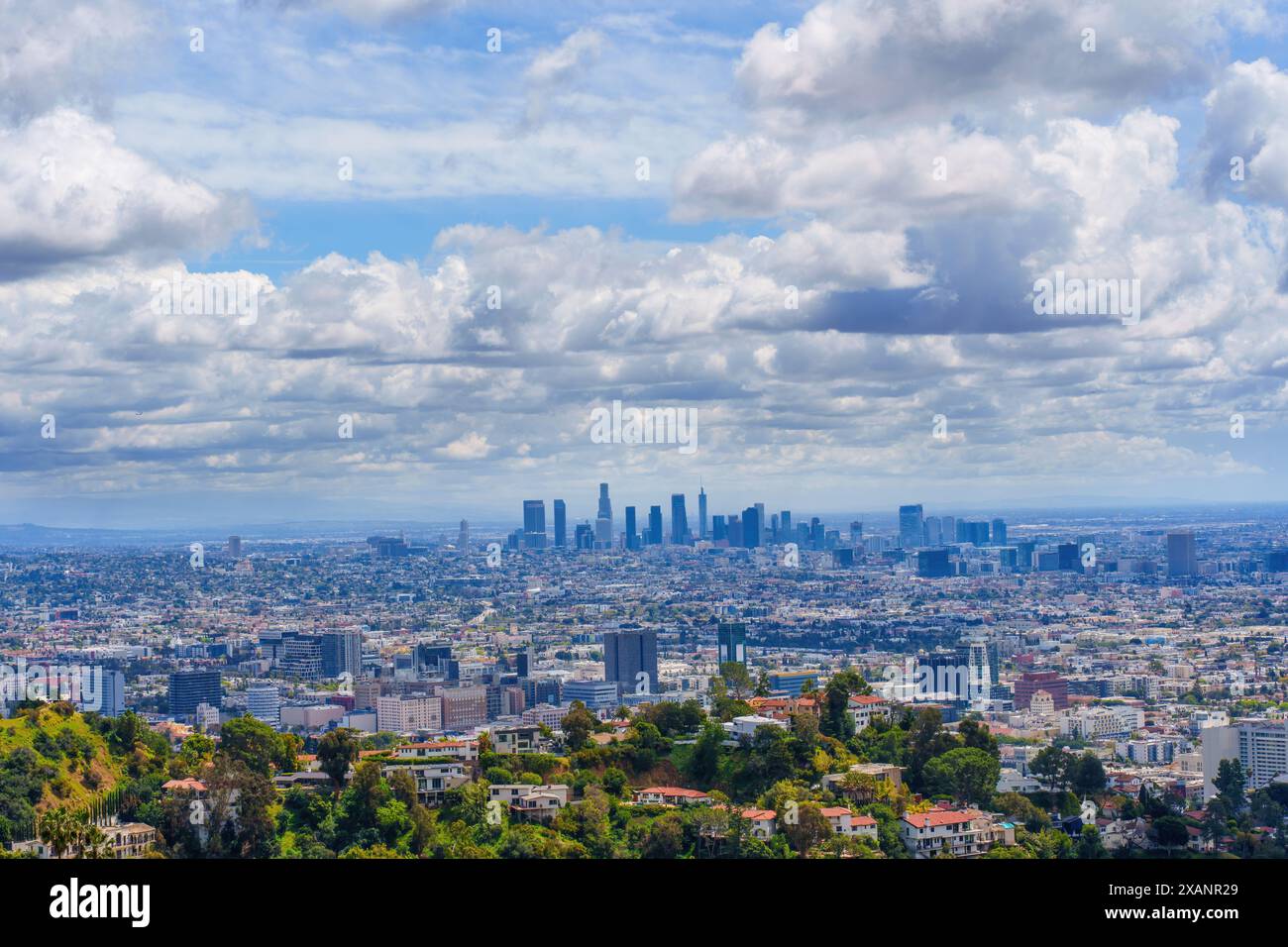 Stunning Los Angeles City