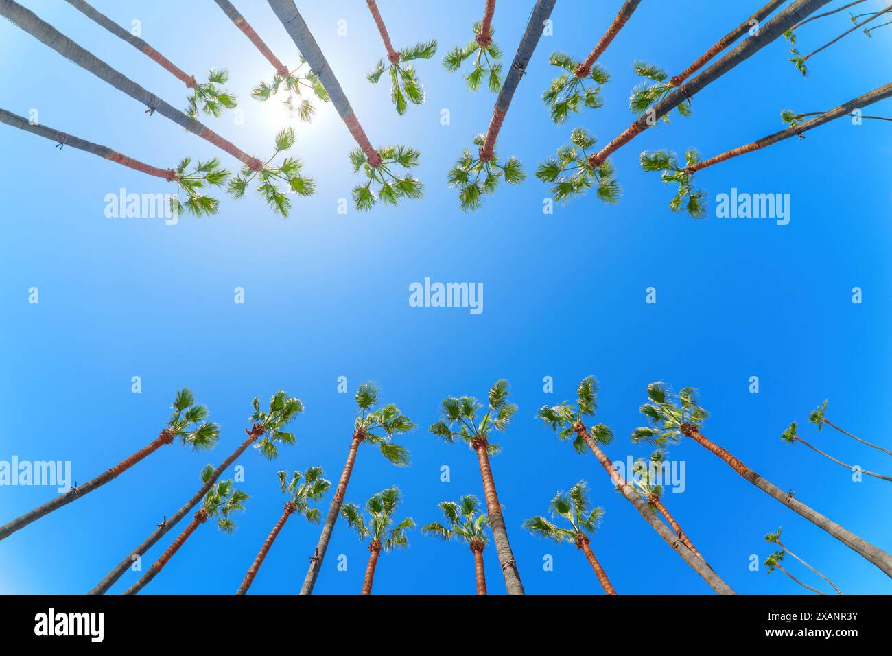 Striking upward angle view hi-res stock photography and images - Alamy