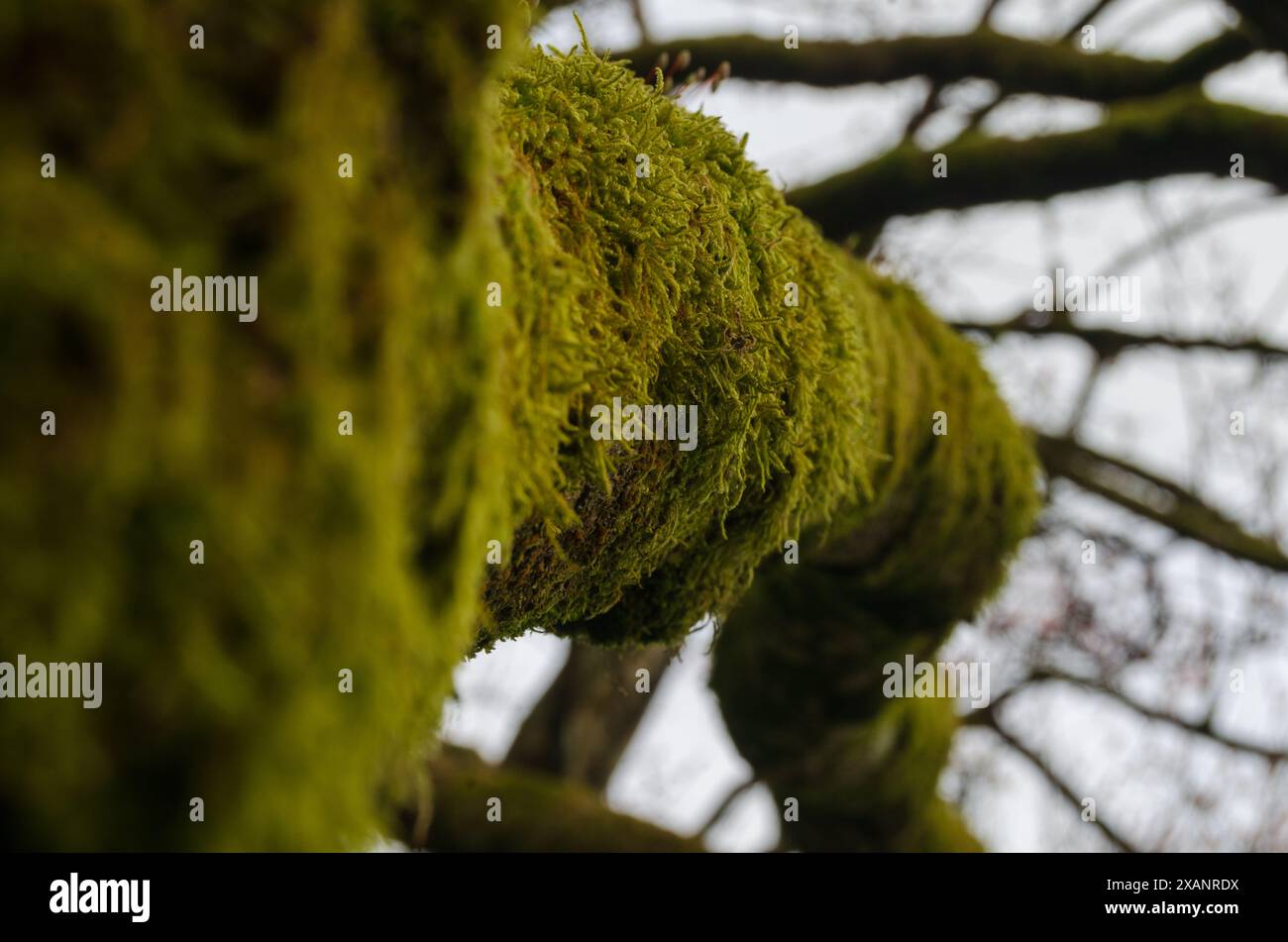 Branch county hi-res stock photography and images - Alamy