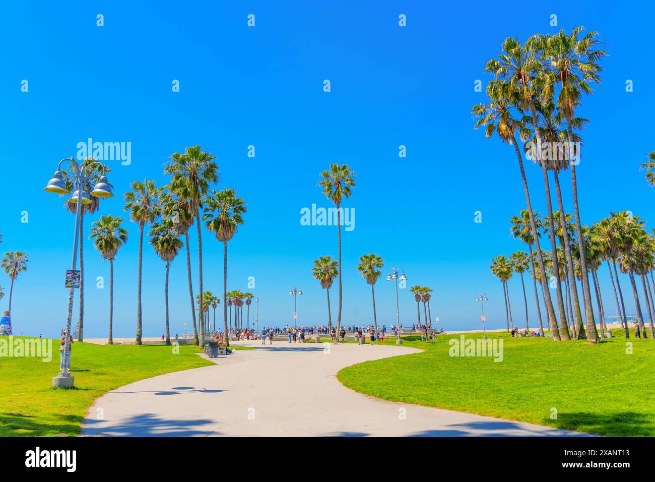 Los Angeles, California - April 3, 2024: Venice Beach with tall palm ...