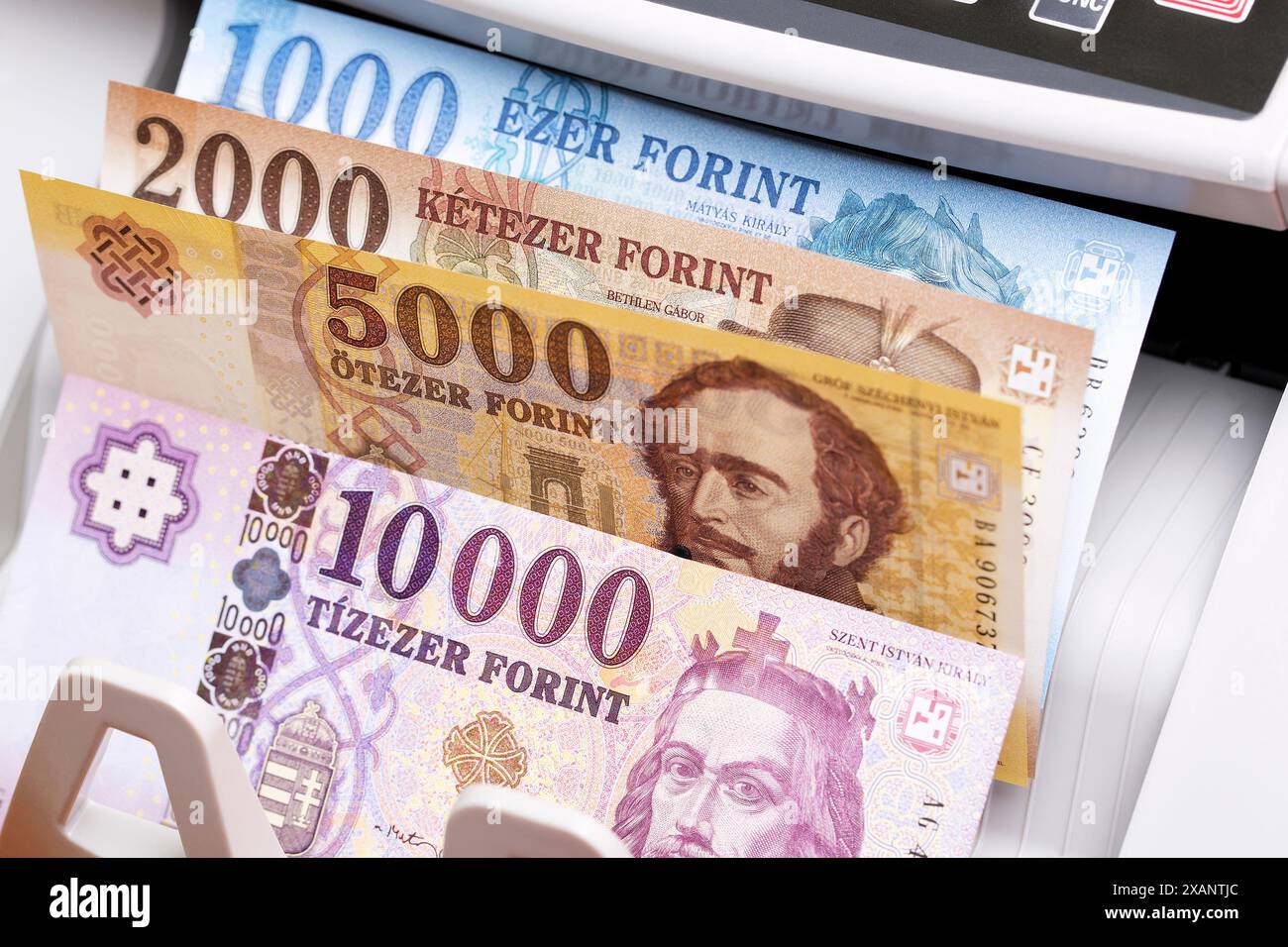 Hungarian money - forint in the counting machine Stock Photo - Alamy