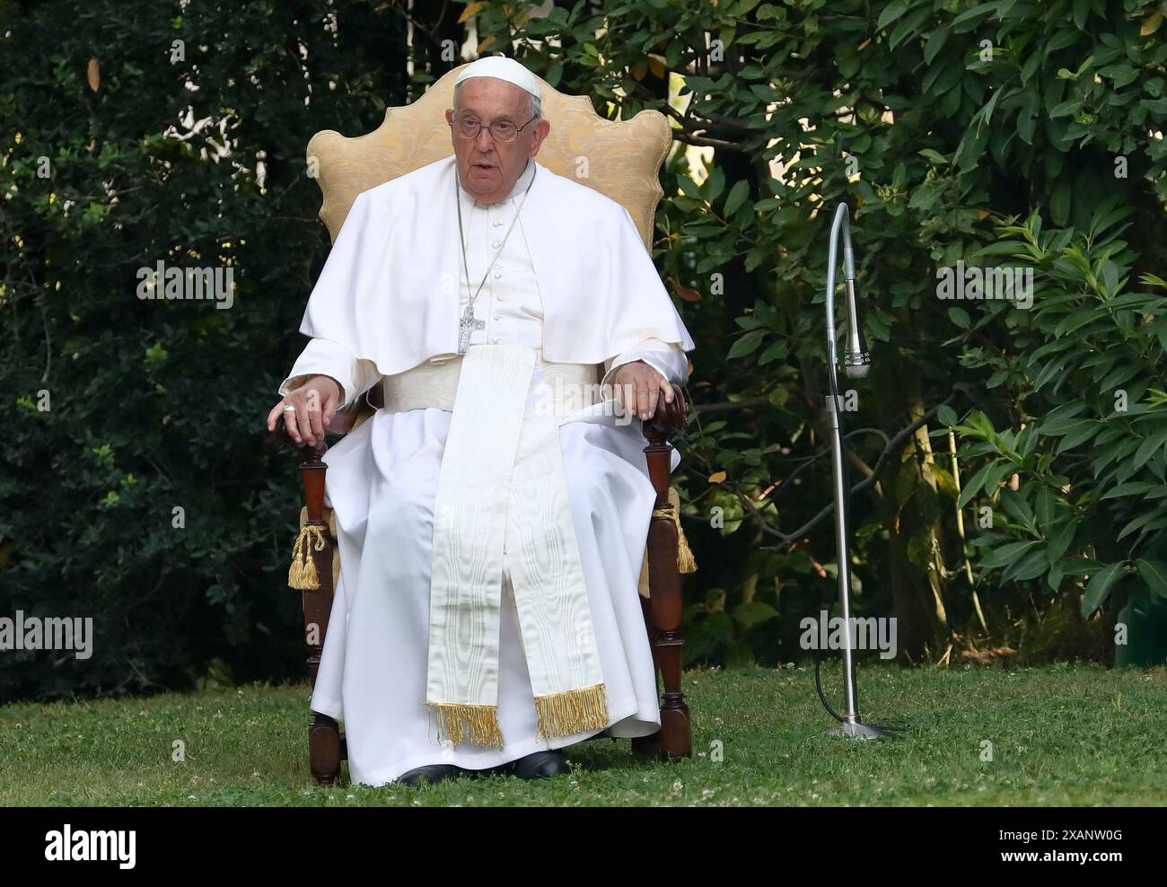 Pope Francis leads a ‘Prayer for Peace' in the Vatican Gardens on June ...