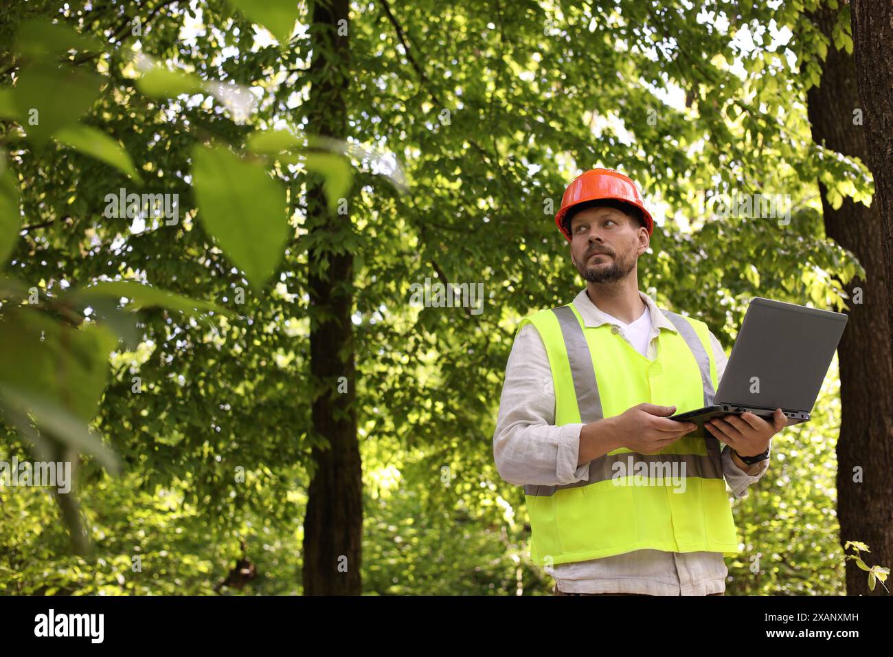 Forester in hard hat with laptop working in forest Stock Photo - Alamy