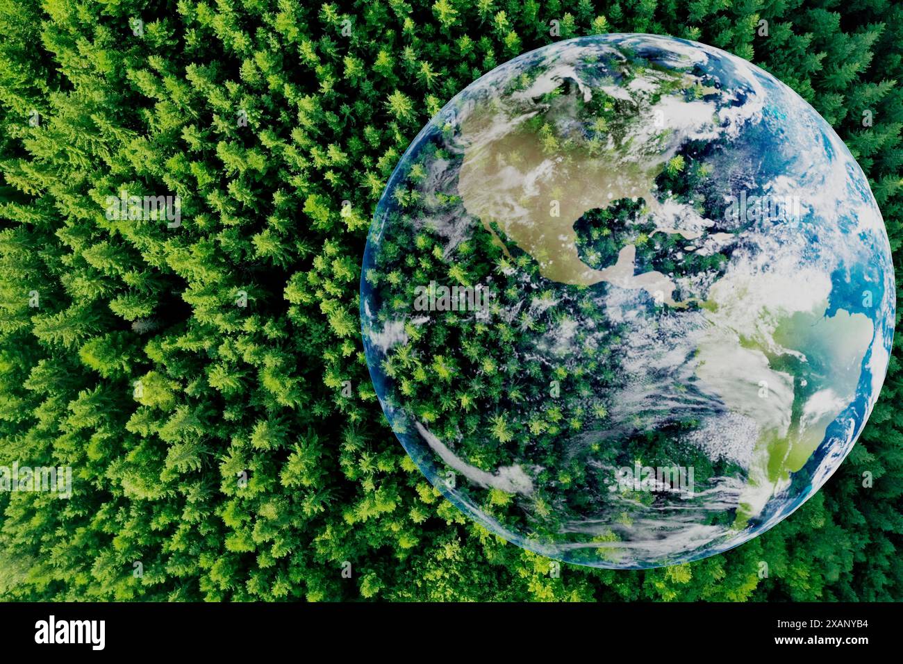 Save the planet. Aerial view of coniferous forest and planet Earth ...
