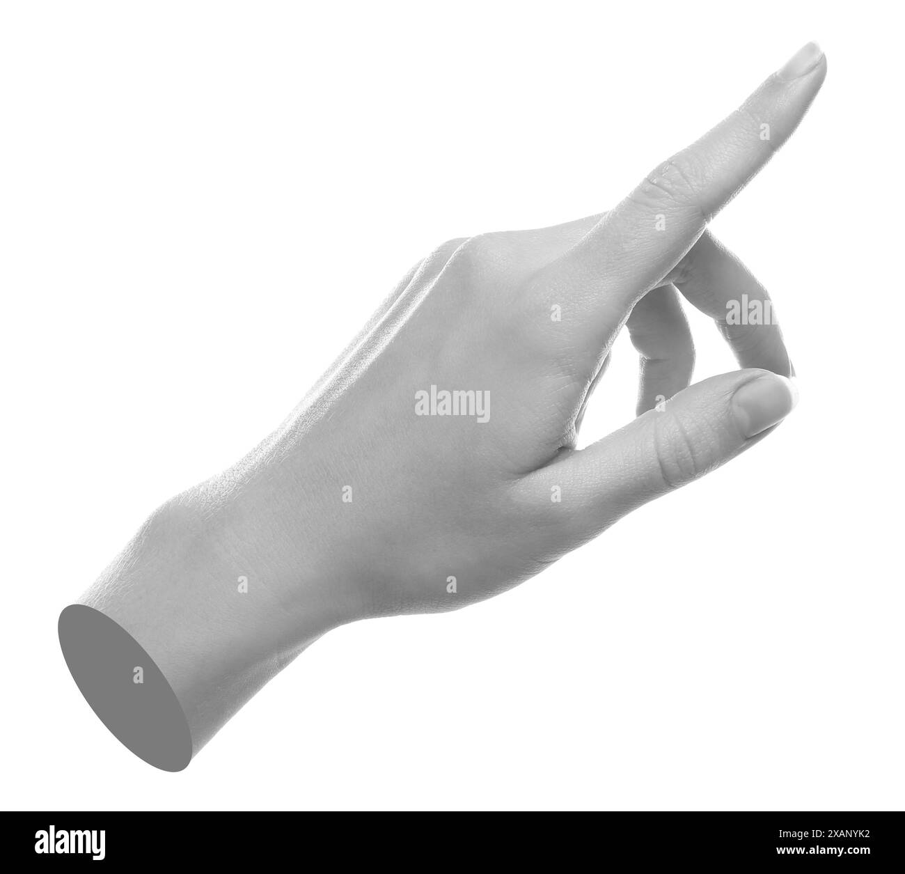 Woman's hand pointing at something on white background. Black and white ...