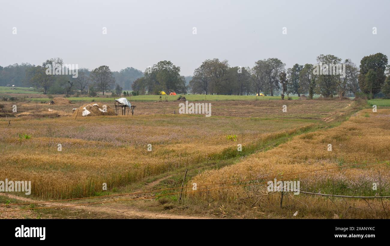 Indian rural background hi-res stock photography and images - Alamy