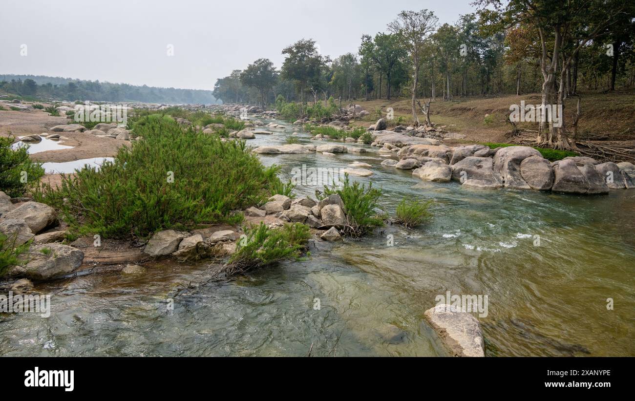 Indian environment hi-res stock photography and images - Alamy