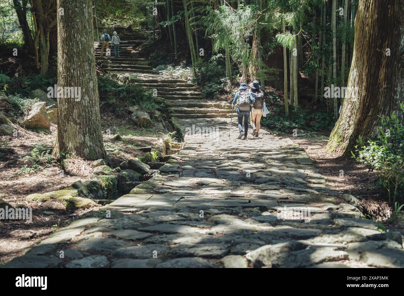 Back view with a group of hikers on Kumano Kodo - Nakahechi Daimon-saka ...