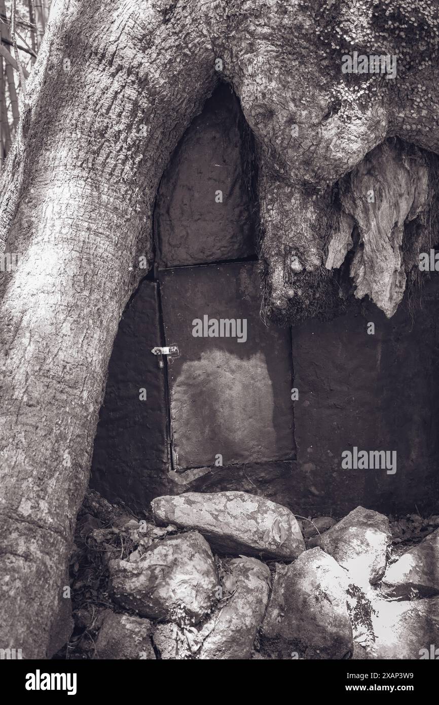 Concept of daimon hi-res stock photography and images - Alamy