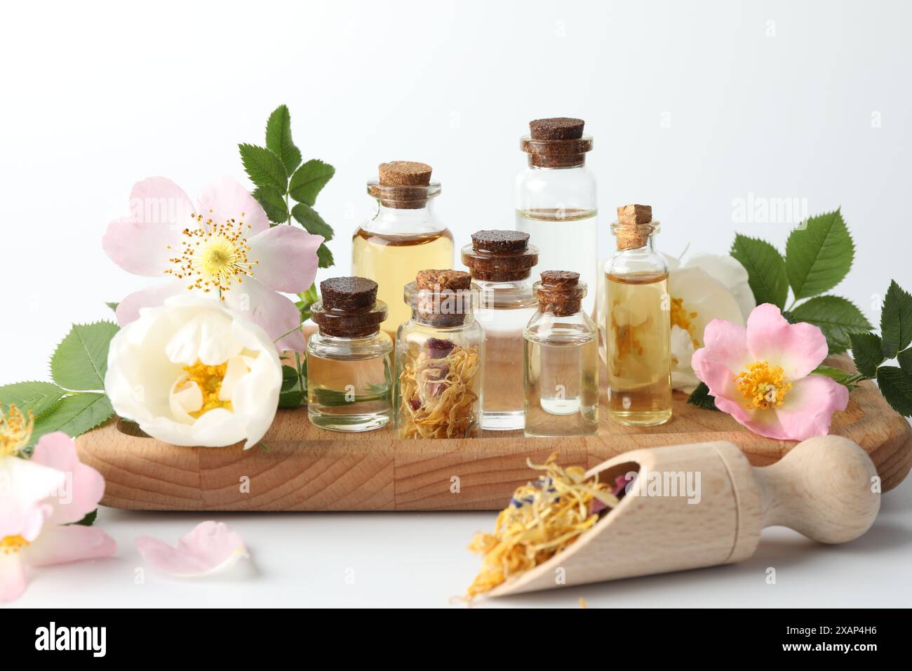 Aromatherapy. Different essential oils, flowers and green leaves on ...