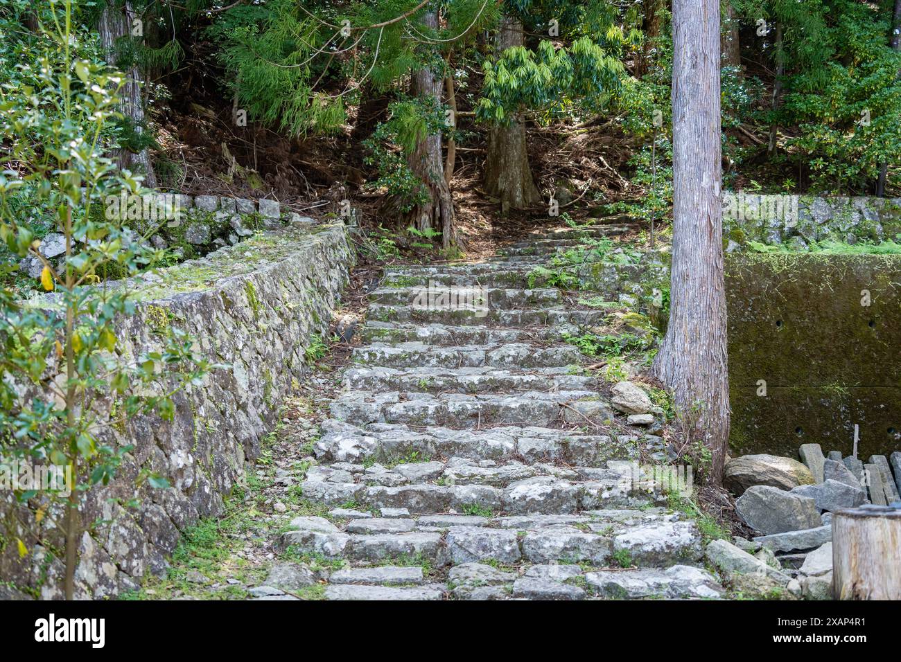 Kumano Kodo ancient pilgrimage trail in the Kii Peninsula, Japan ...