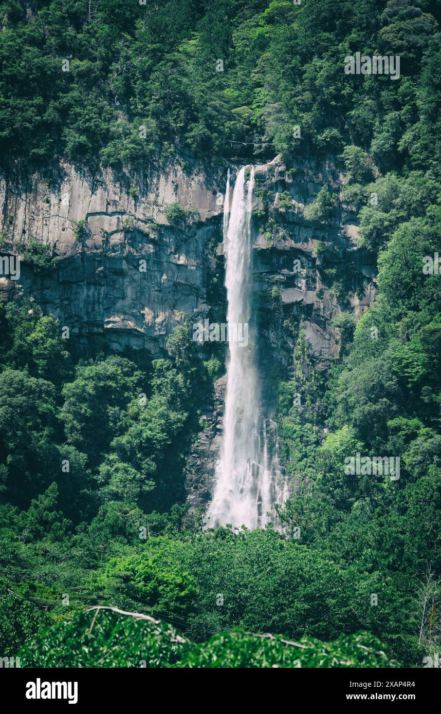 View with Nachi Waterfall located in Nachikatsuura, Wakayama, Japan ...