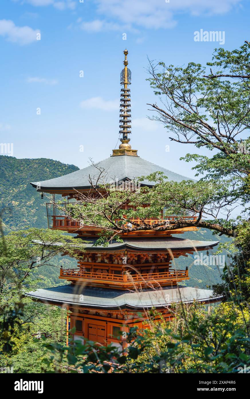 View with Seiganto ji Temple Sanjuno to 3 Storied Pagoda in ...