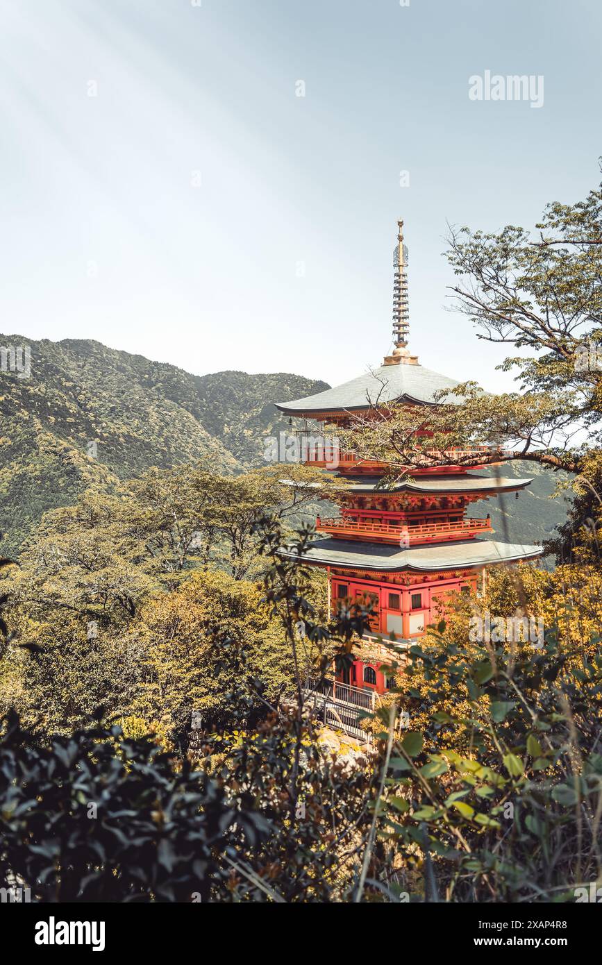 View with Seiganto ji Temple Sanjuno to 3 Storied Pagoda in ...