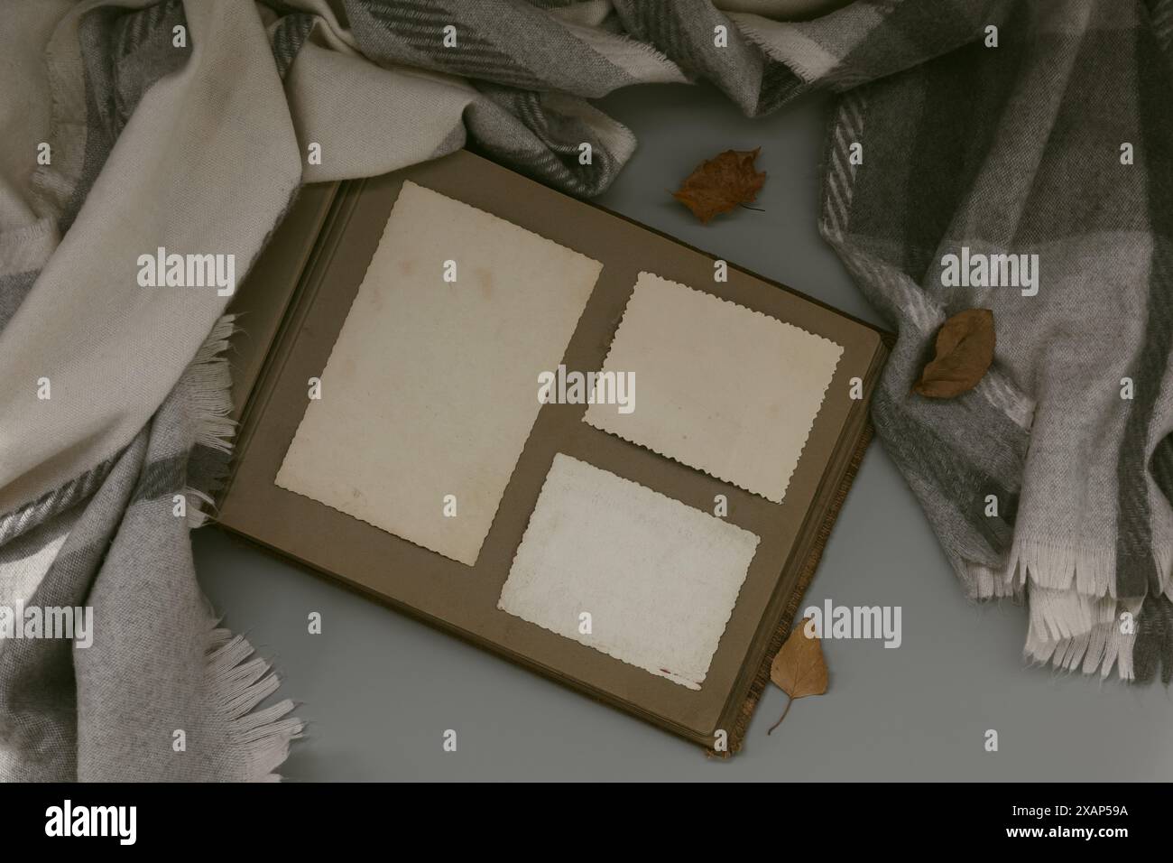 Clear blank photo frames on old album with grey plaid and fall leaves ...