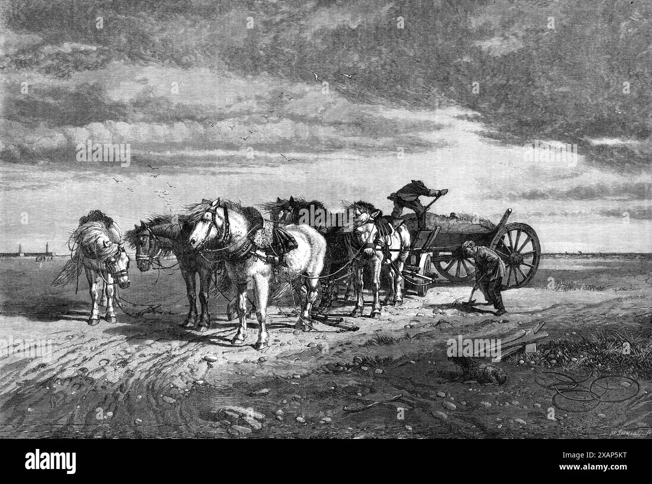 Patient movement Black and White Stock Photos & Images - Alamy