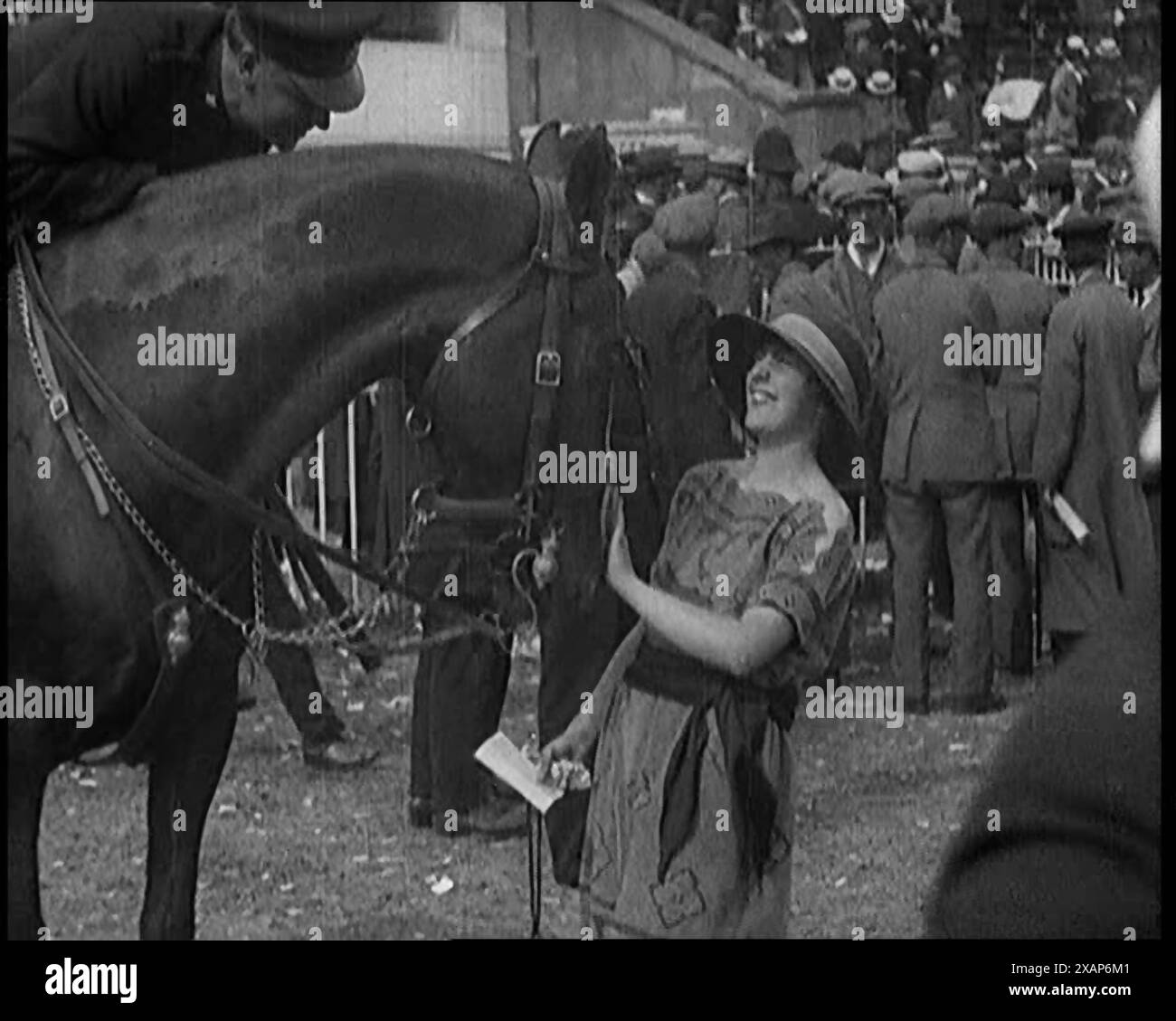 1920s harness racing hi-res stock photography and images - Alamy
