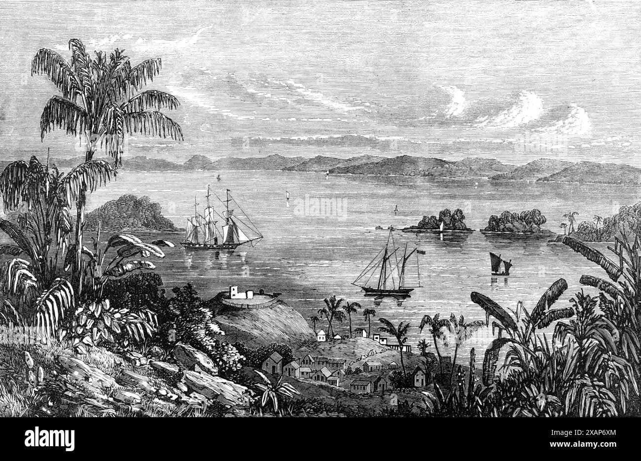 The Bay of Samana, St. Domingo, lately purchased by the United States ...