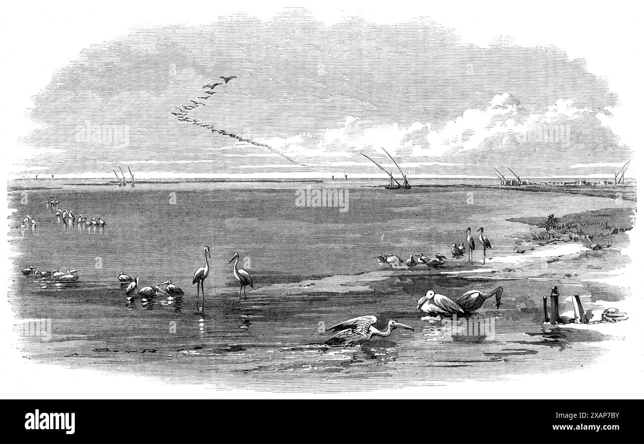 The Isthmus of Suez Maritime Canal: Lake Menzaleh, 1869. 'On leaving ...