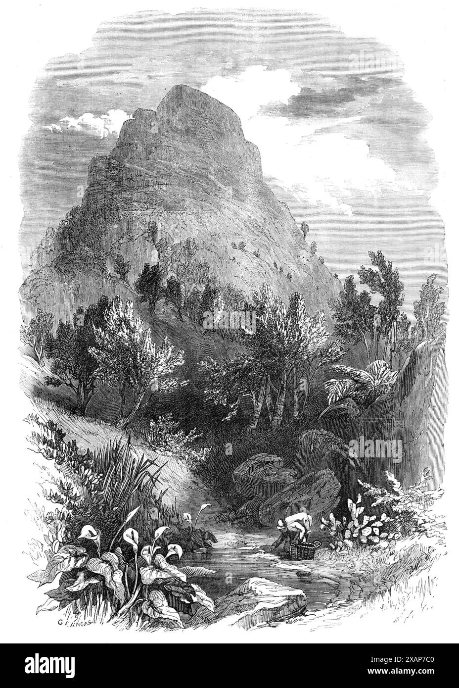 The Lion's Head Mountain, near Capetown, Cape of Good Hope, 1868 ...