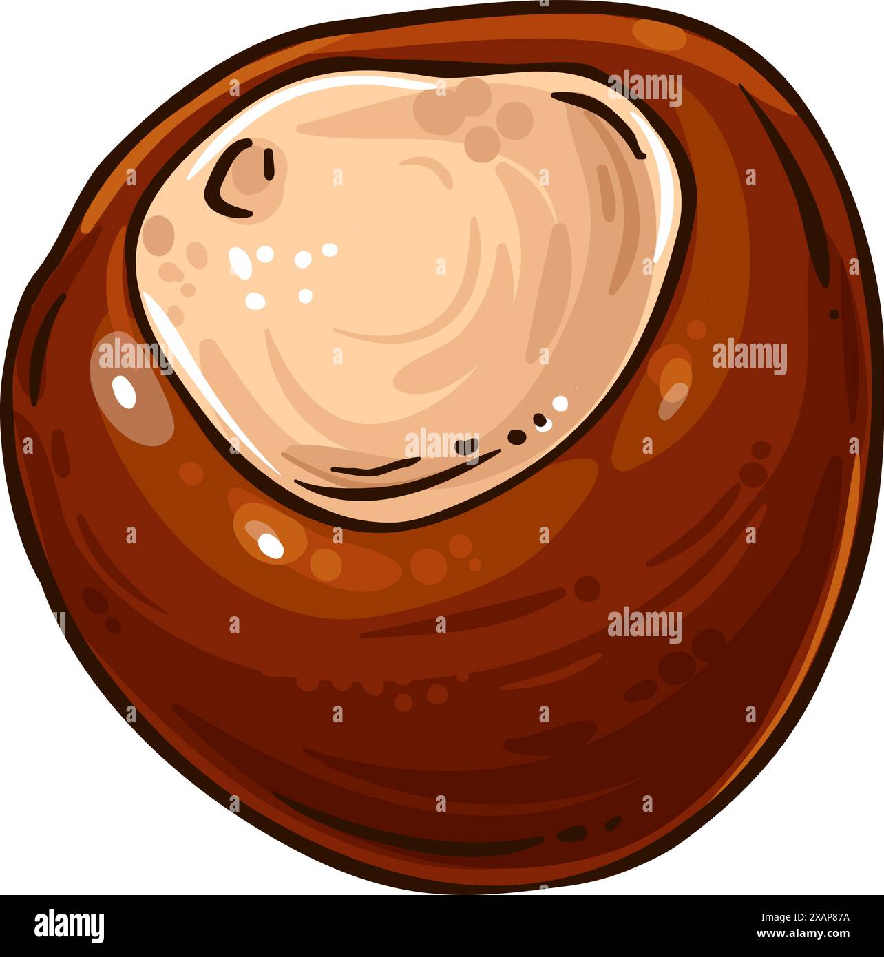Chestnut Nut Colored Detailed Illustration Stock Vector Image & Art - Alamy