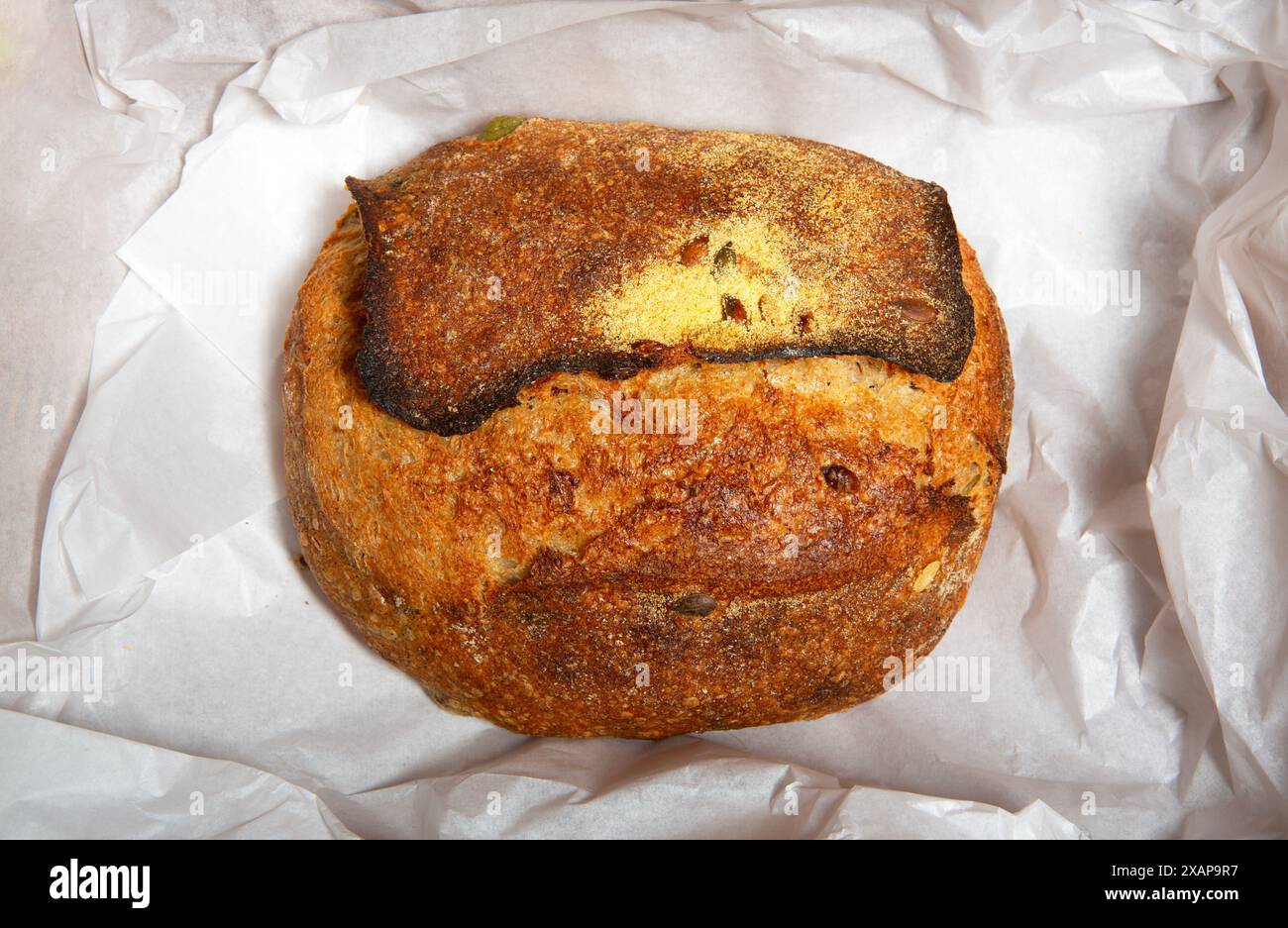 Olive and Polenta Sourdough loaf at Haxby Bakehouse. Haxby Bakehouse ...