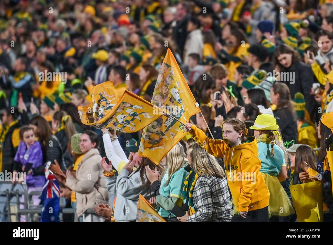 Sydney, Australia. 03rd June, 2024. Australian fans seen cheering ...