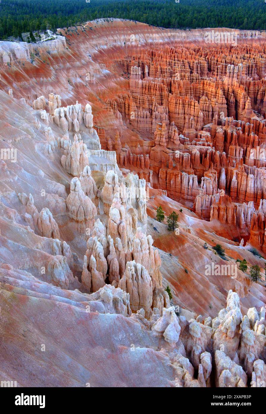 Bryce canyon amazing rocks landscape Stock Photo - Alamy
