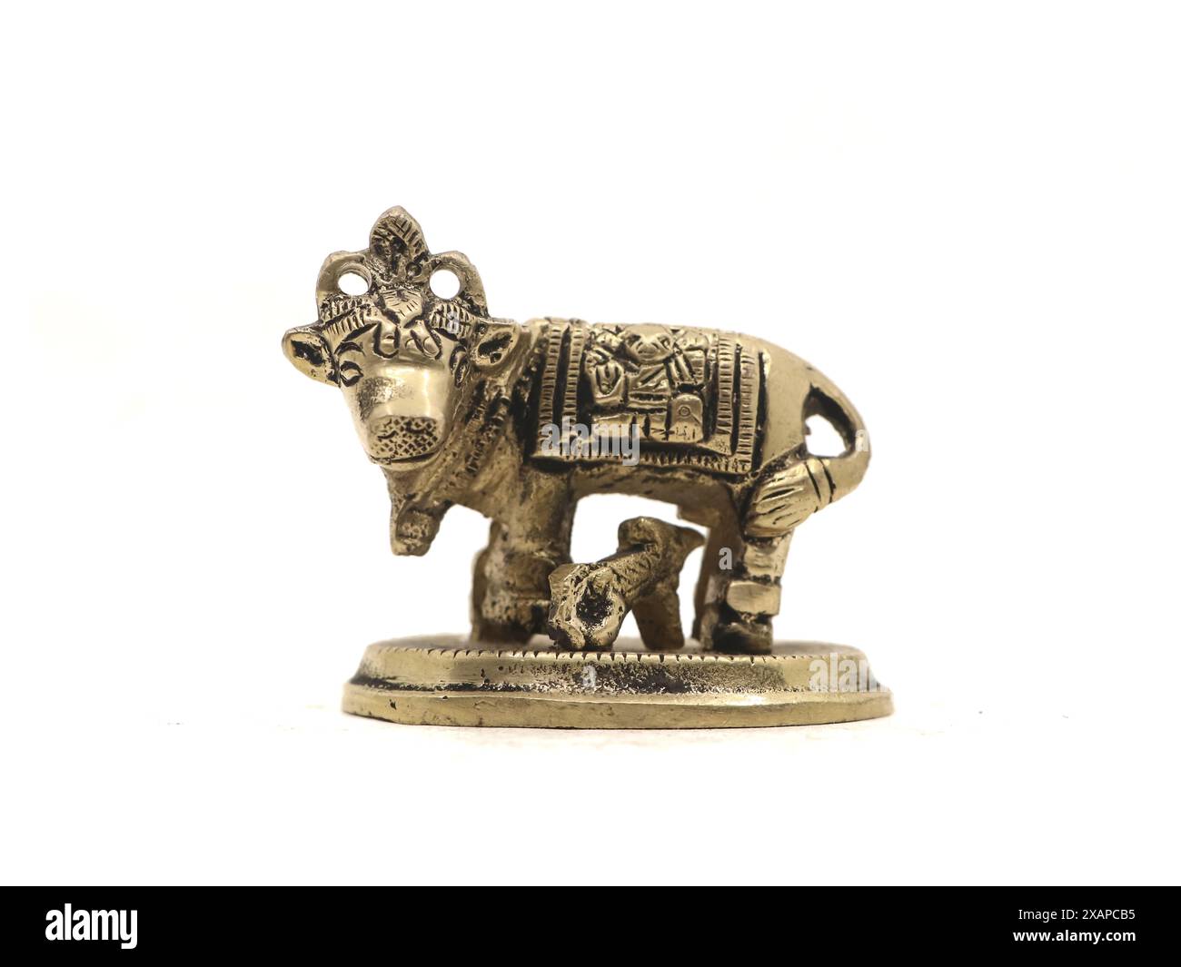 golden bronze figurine of a cow with calf isolated on a white ...