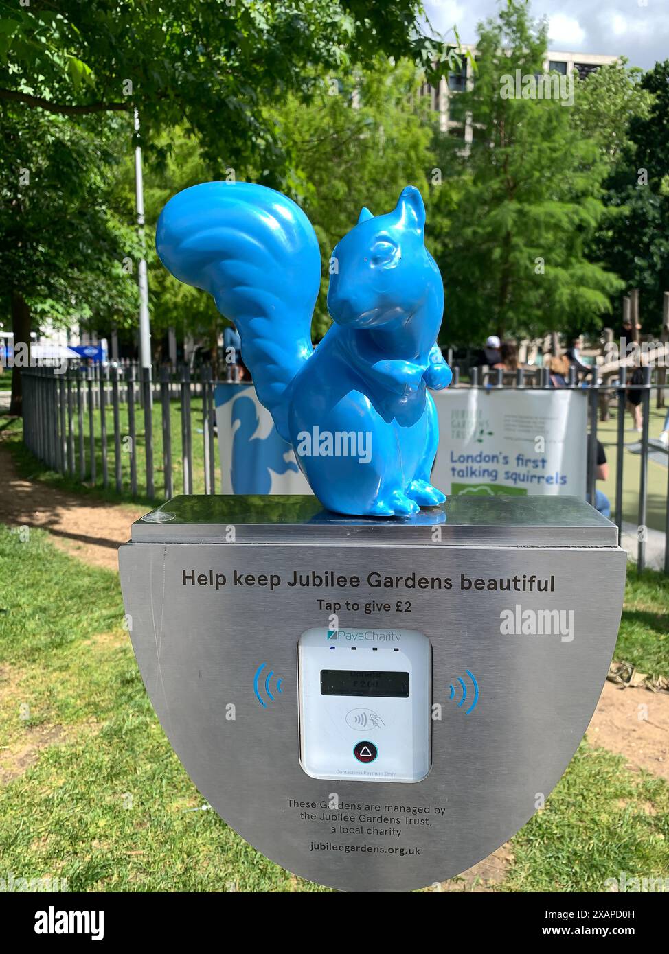 A Talking Squirrel at Jubilee Gardens in London Stock Photo - Alamy